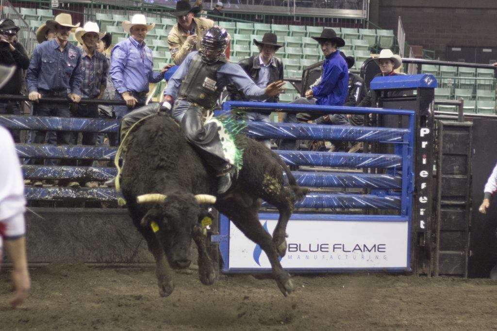 First Professional Bull Riding Canada event in City a success - Red ...
