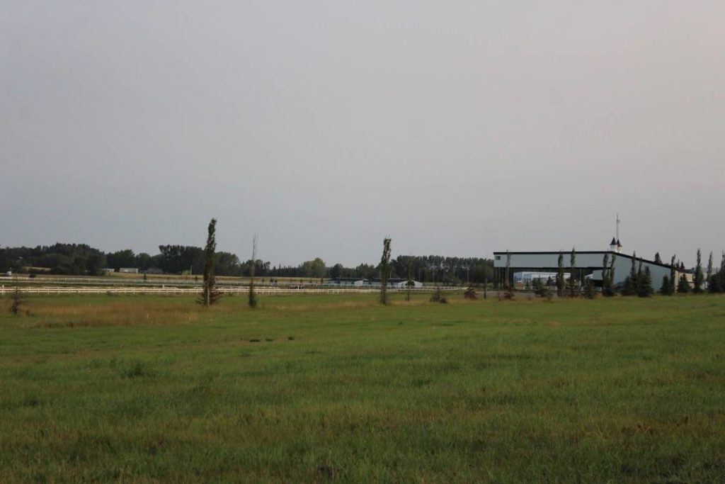 Central Alberta entrepreneurs purchase Alberta Downs race track - Red ...